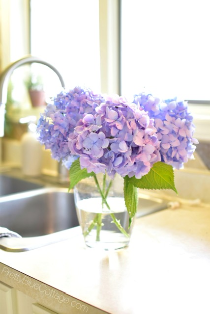 How To Cut Hydrangeas – Pretty Blue Cottage